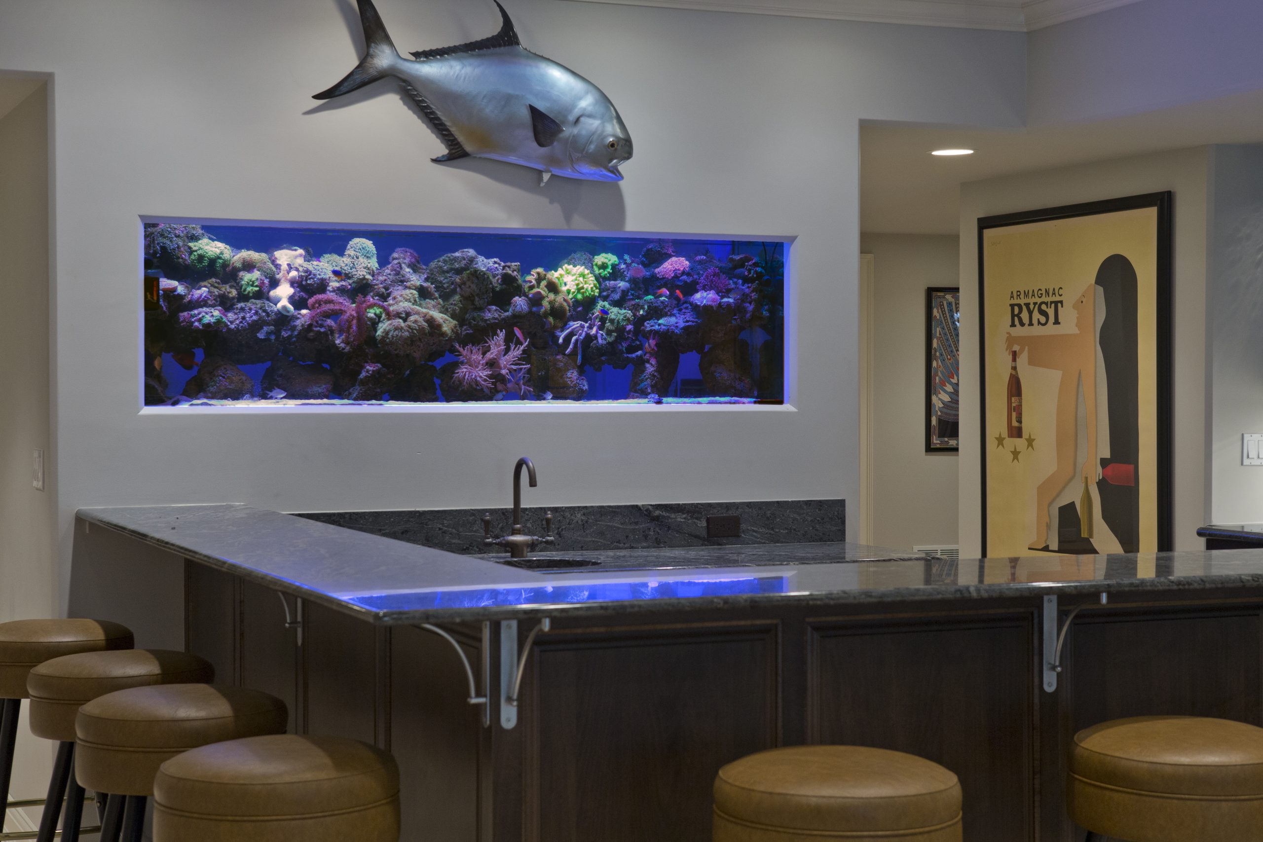 Residential Aquariums - Aquarium Design Professionals
