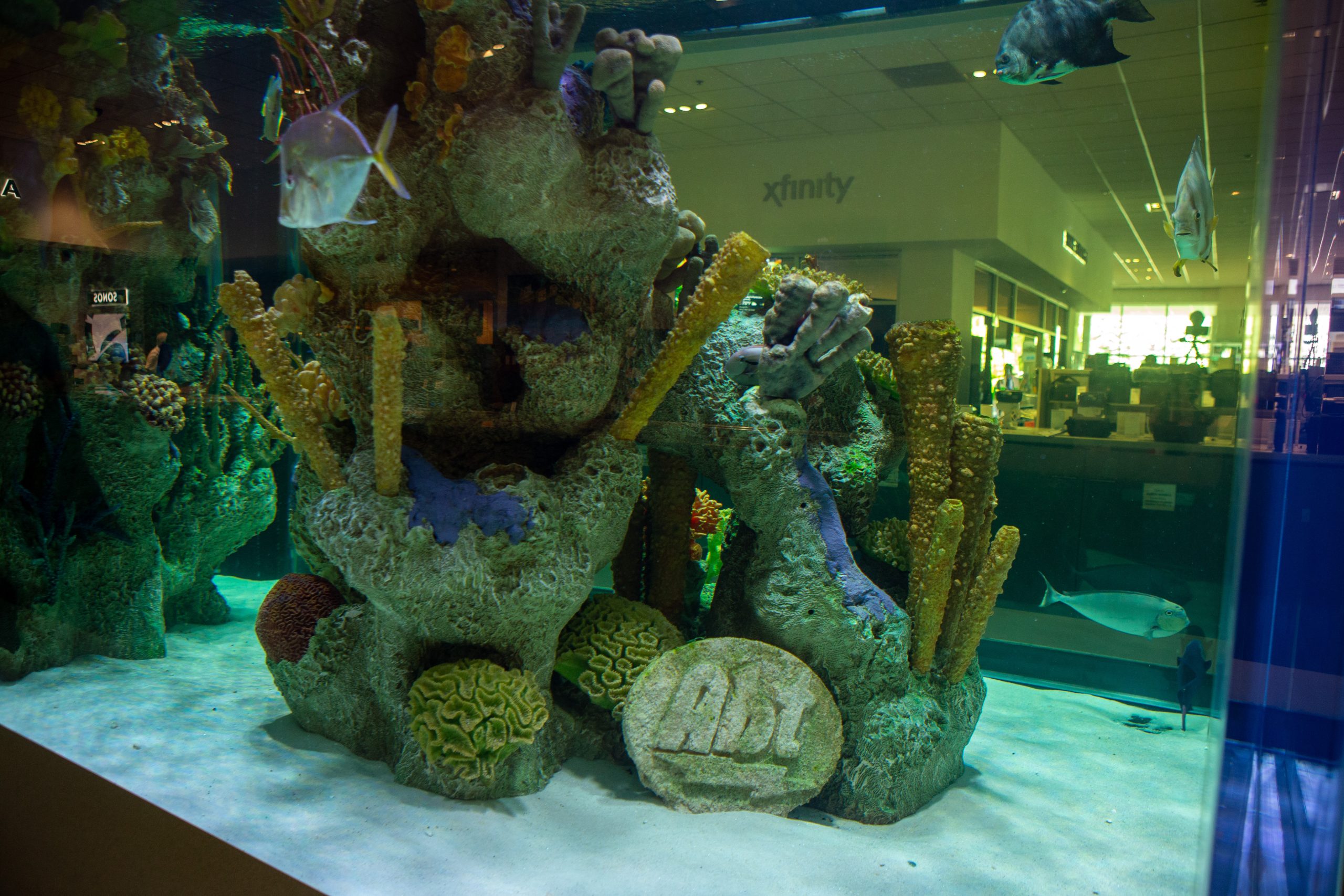 GALLERY - Aquarium Design Professionals